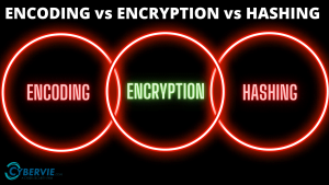 Encryption |vs| Encoding |vs| Hashing - Know the difference - CYBERVIE
